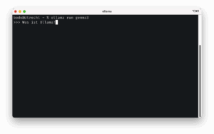 Large Language Models mit Ollama lokal auf dem Mac nutzen – Bodos Blog